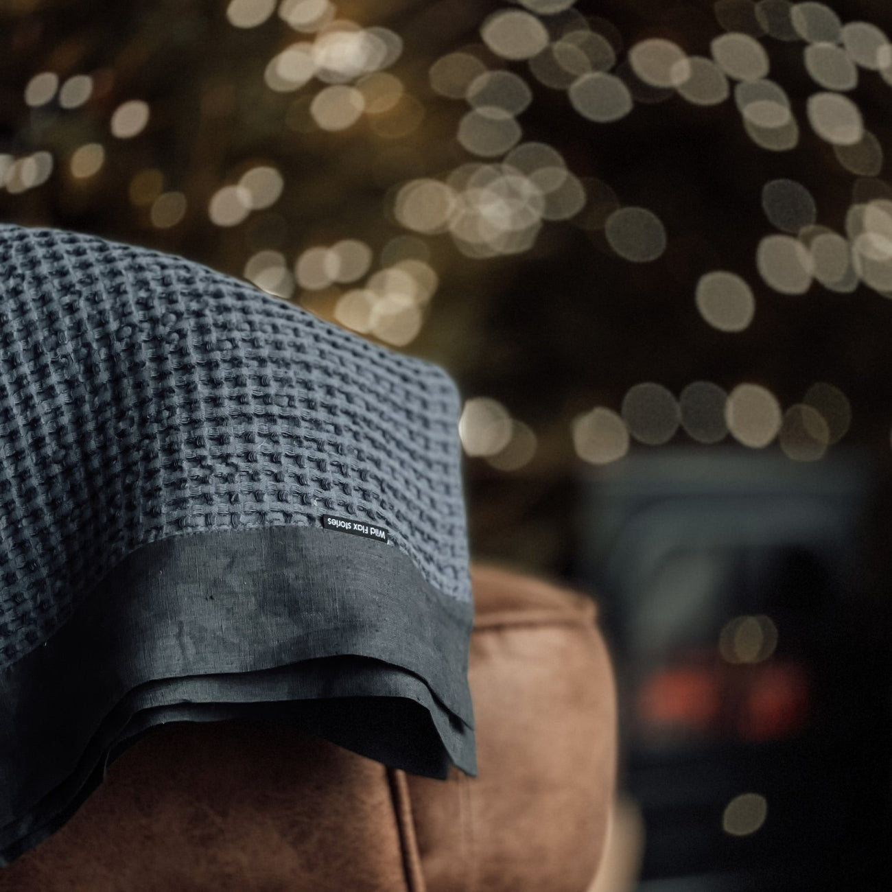 Collections – Wild Flax Stories